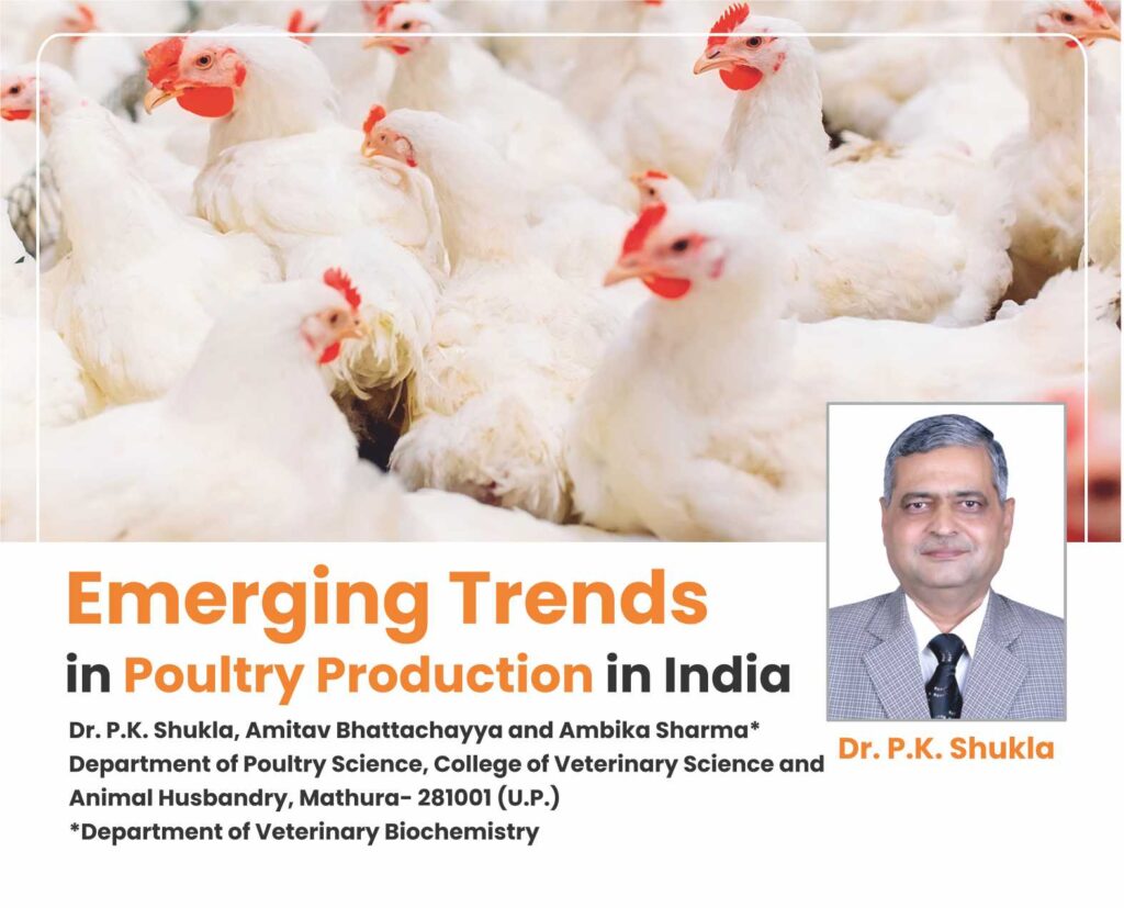 Emerging Trends in Poultry Production in India – Vprint Infotech