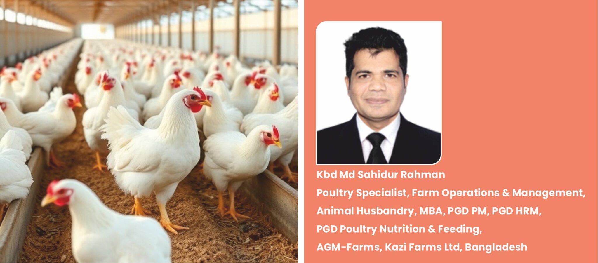 Importance of Grading in Poultry Breeder farm Operations – Vprint Infotech